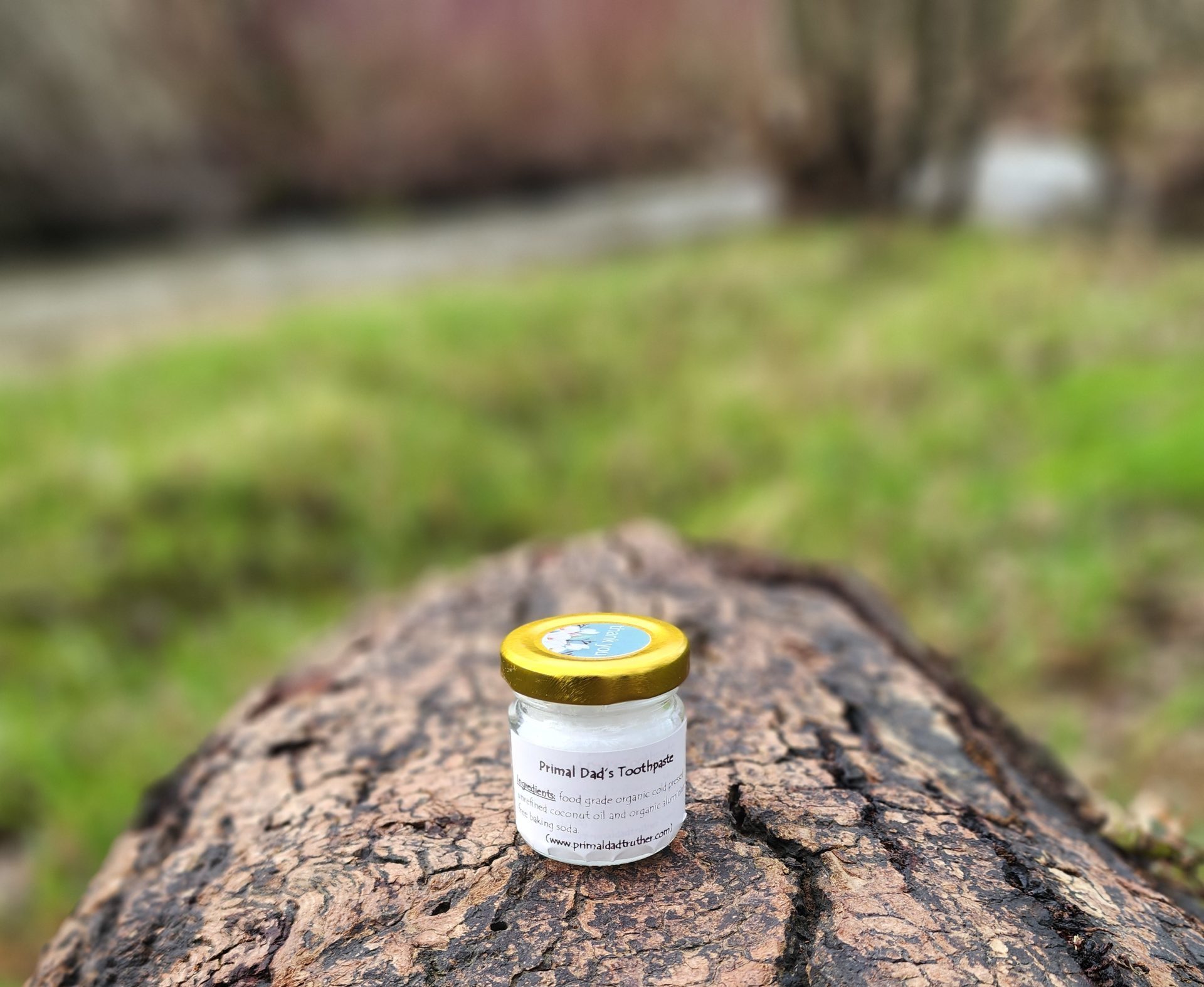 Primal Dad's Sweet Coconut Oil Toothpaste - Primal Dad